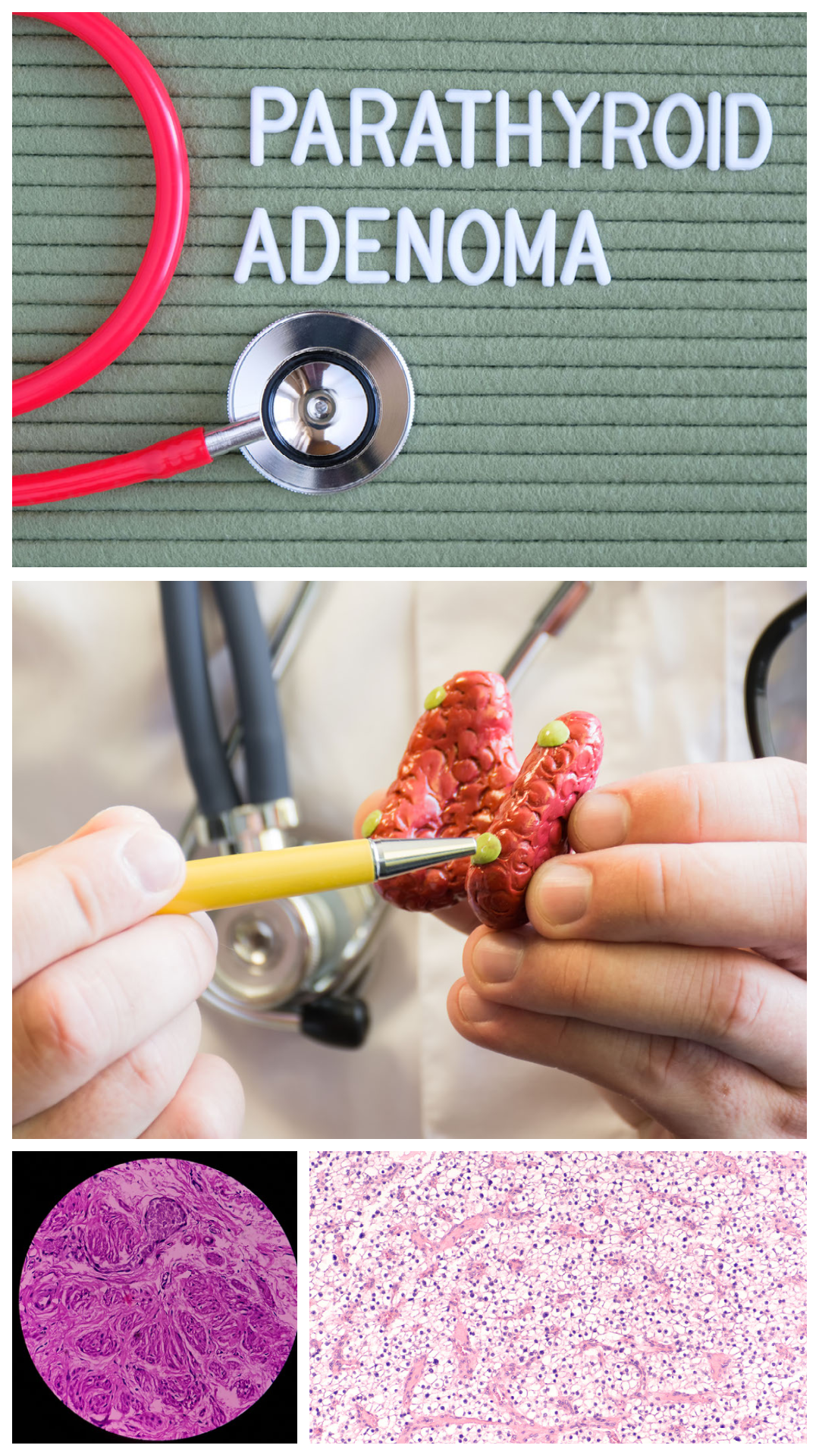 More – Diabetes & Thyroid Metabolic Clinic
